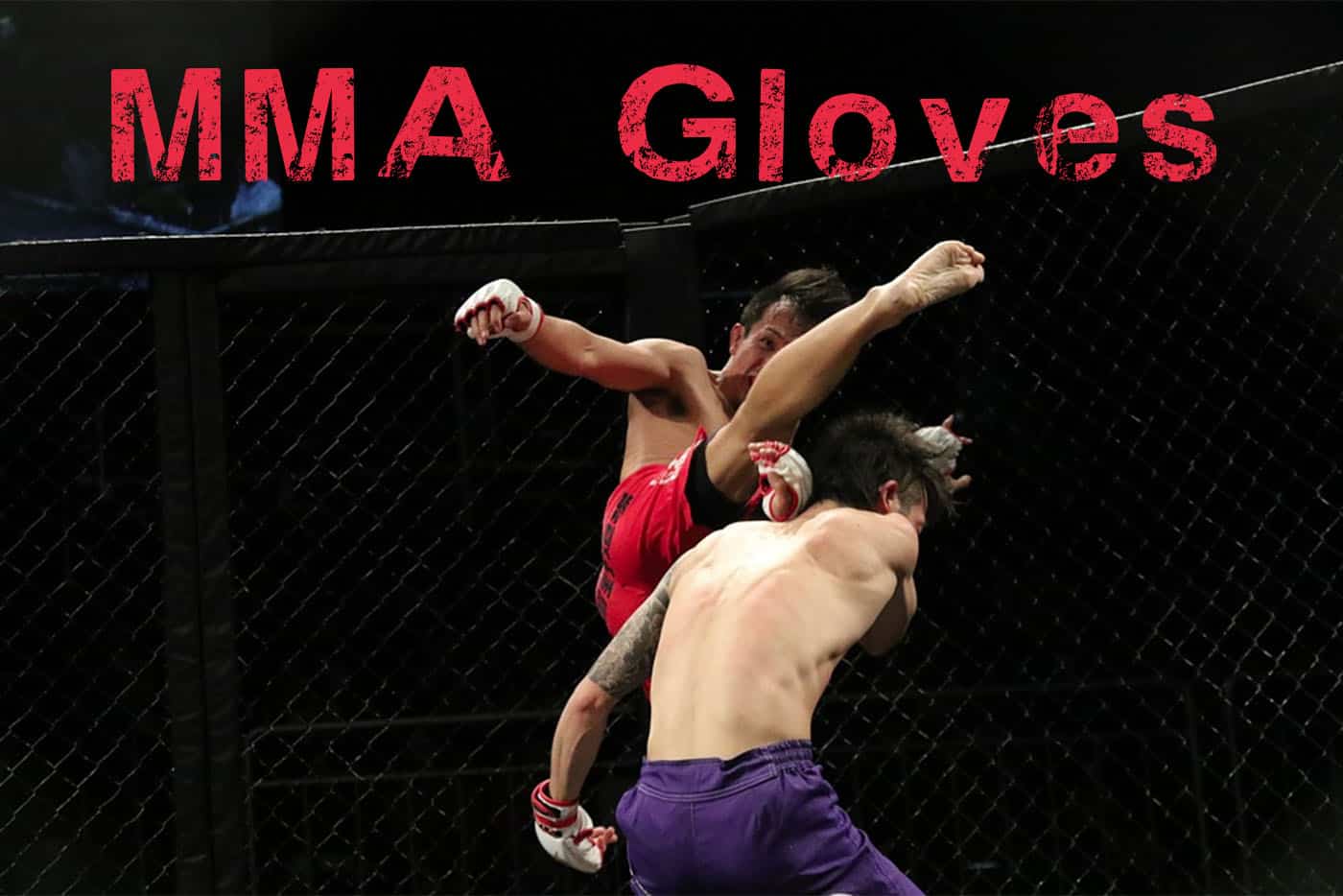 10 Best MMA Gloves For Beginners & Competitions - Sport Consumer