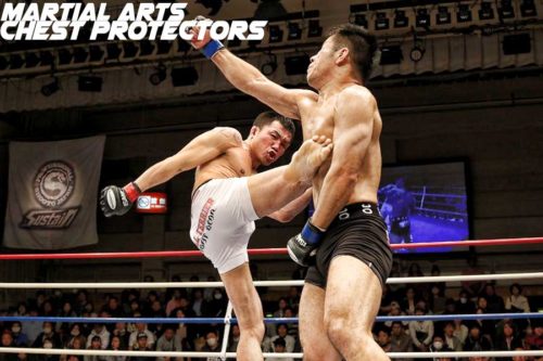 The 7 Best Martial Arts Chest Protectors : Great for Sparring - Sport ...